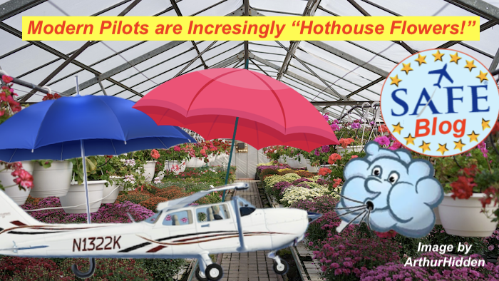 Modern Pilots Are Still "Hothouse Flowers!" - Aviation Ideas and ...